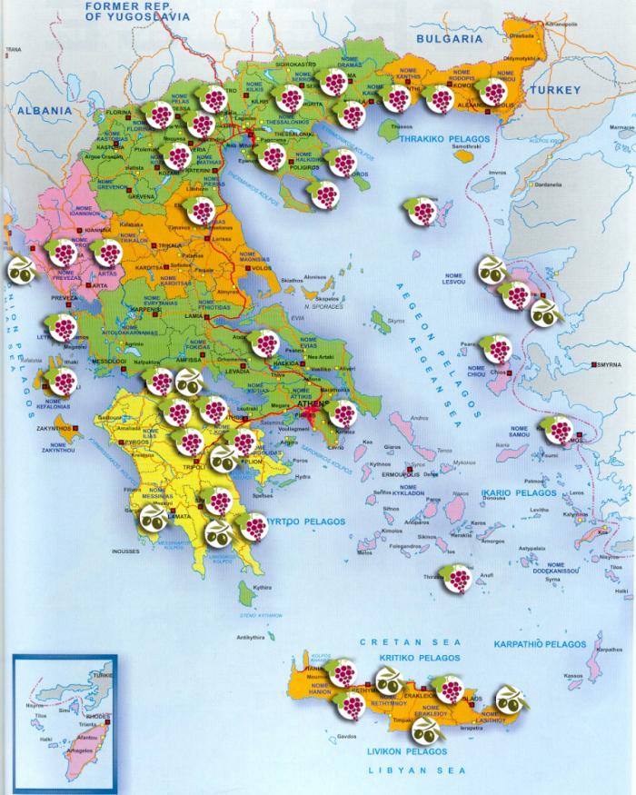 10 facts about Greek cuisine, ingredients & nutrition - Agora Greek ...